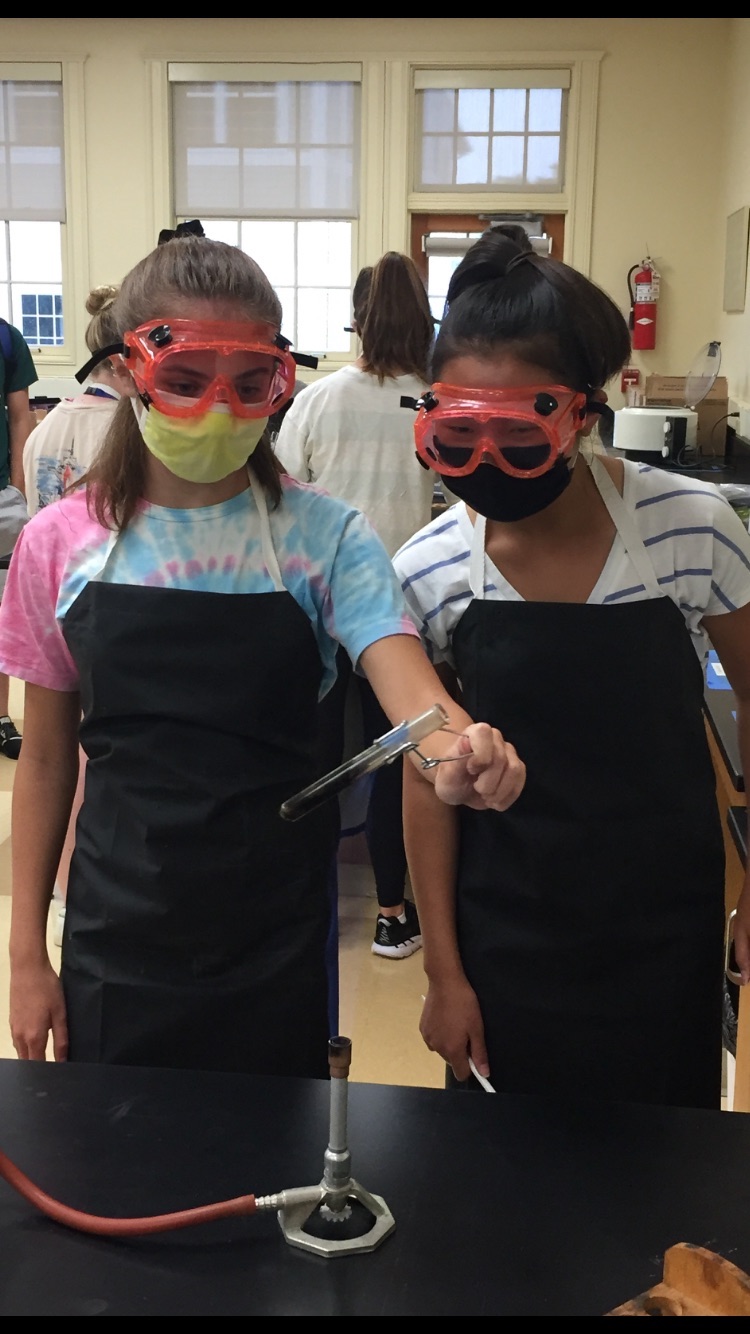 Observing Physical and Chemical Changes in Chemistry - Seven Hills School