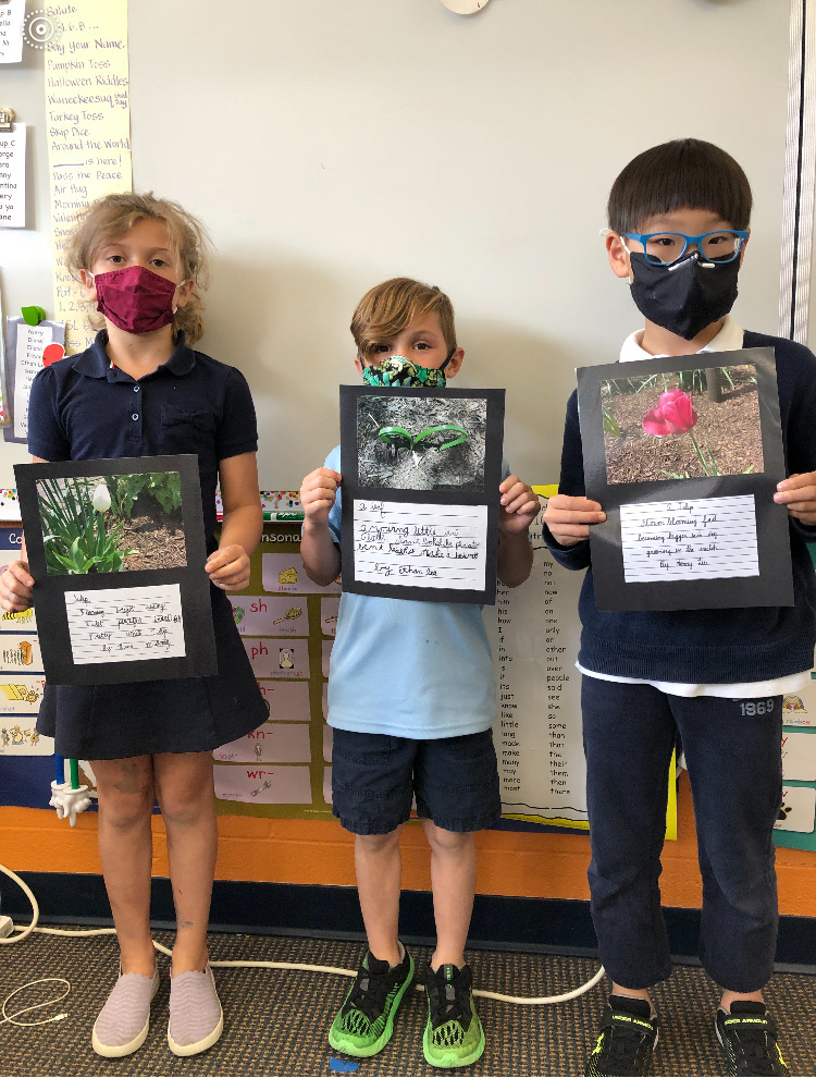 Botany 101 - Seven Hills School