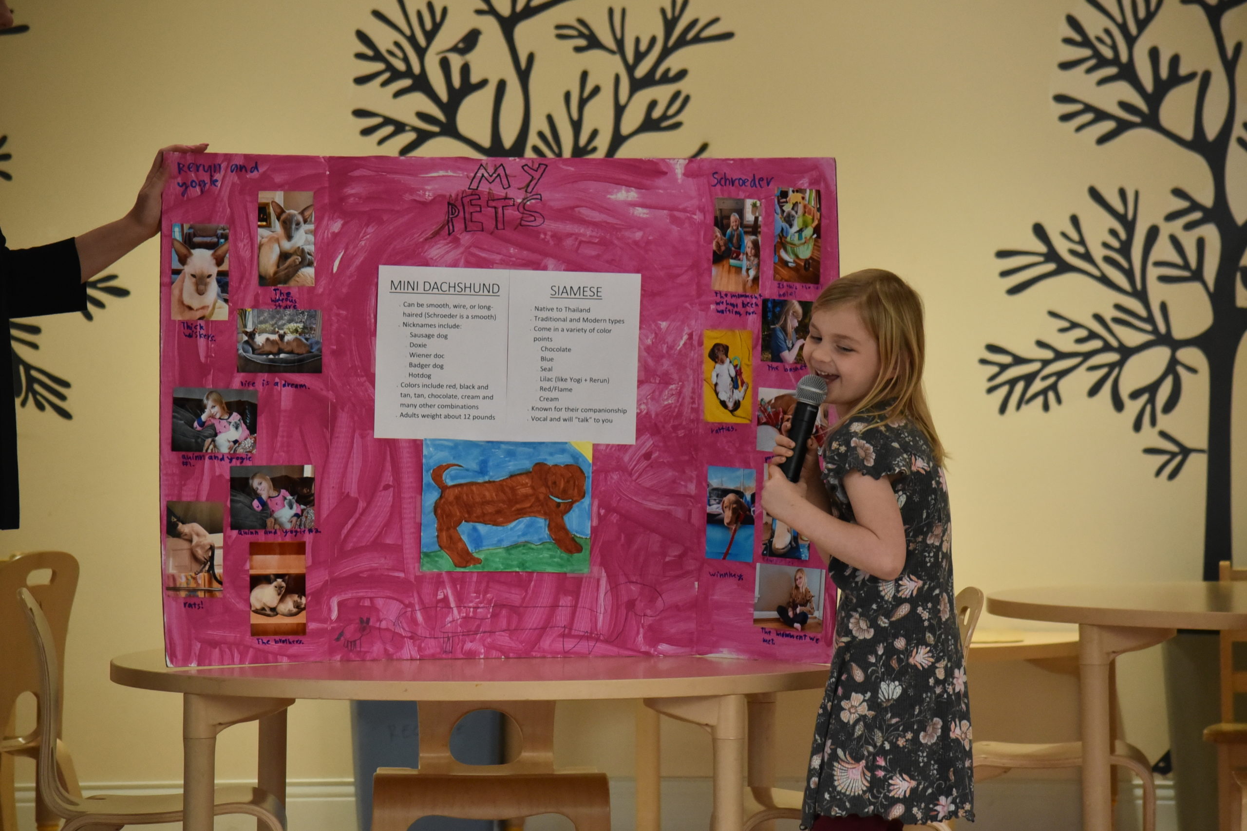 Kindergarten presents passion projects - Seven Hills School
