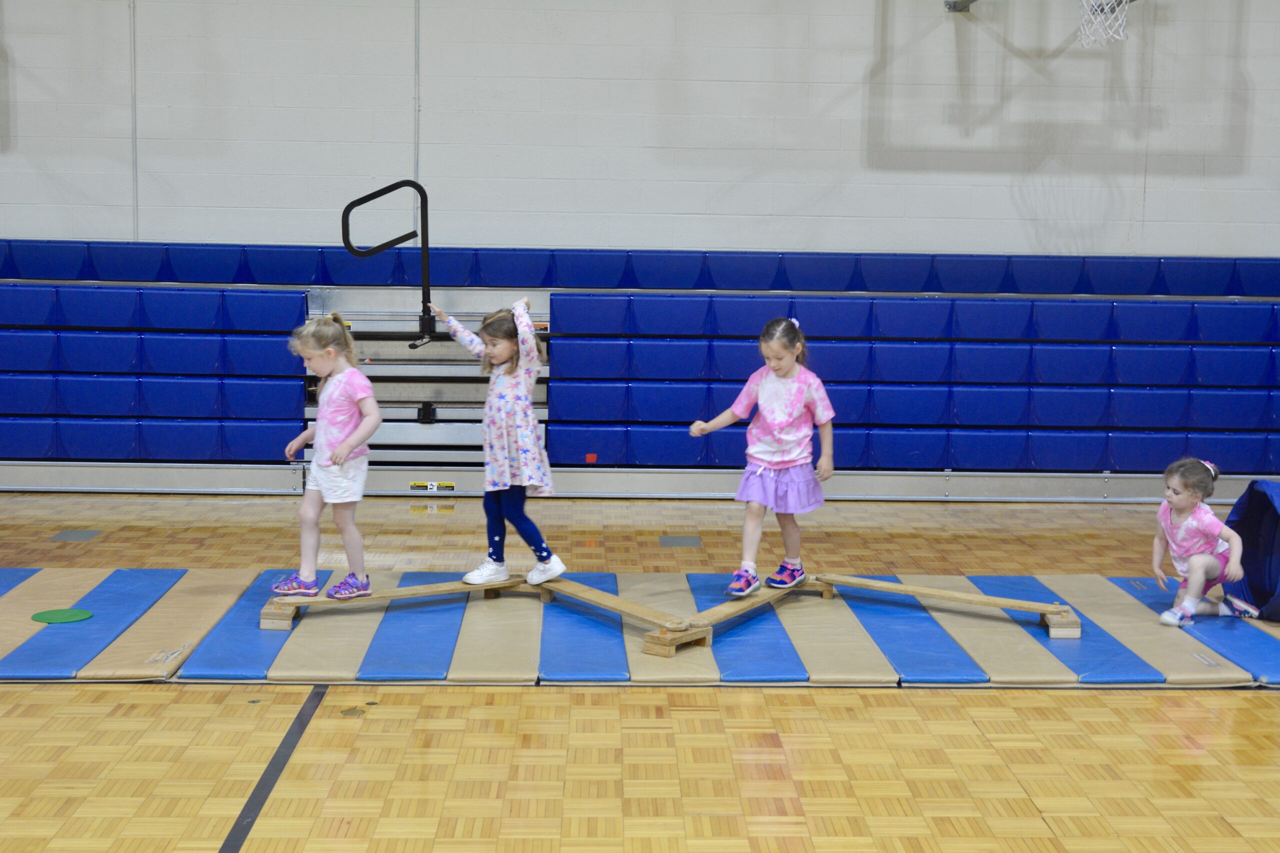 Doherty - The Buzz - Seven Hills School